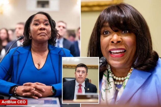 House Dem si scaglia contro gli sforzi del GOP di indagare sulle ...